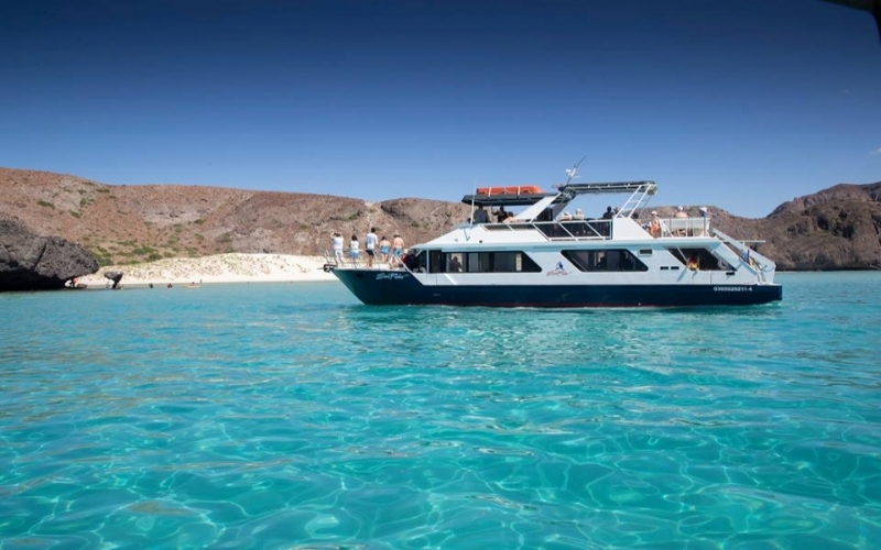 Trafictours - Los Cabos & La Paz