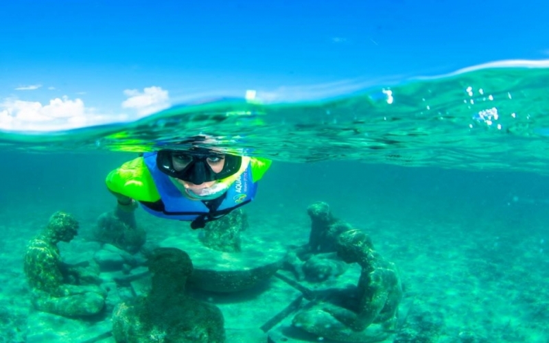 Trafictours - Cancun & Riviera Maya