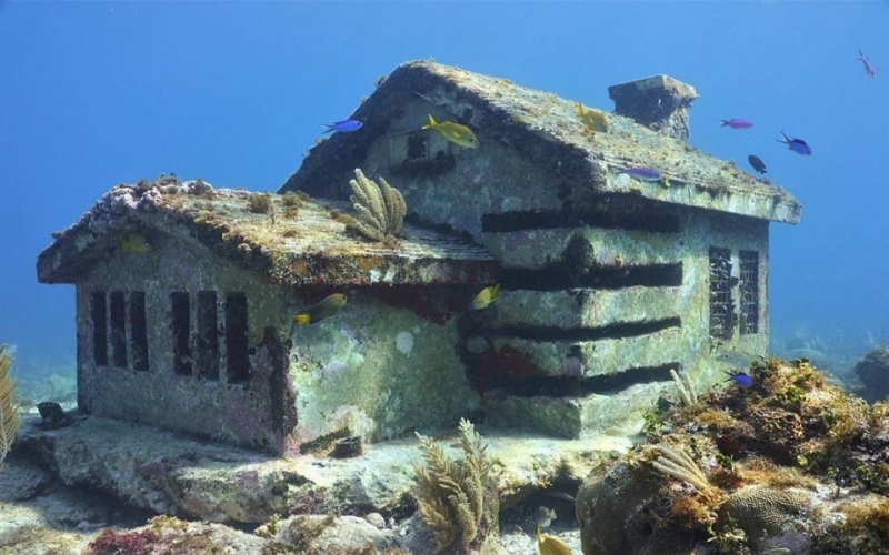 Trafictours - Snorkel in Musa Manchones Reef - Underwater Museum