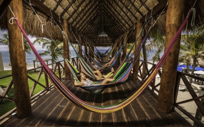 Trafictours - Cancun & Riviera Maya
